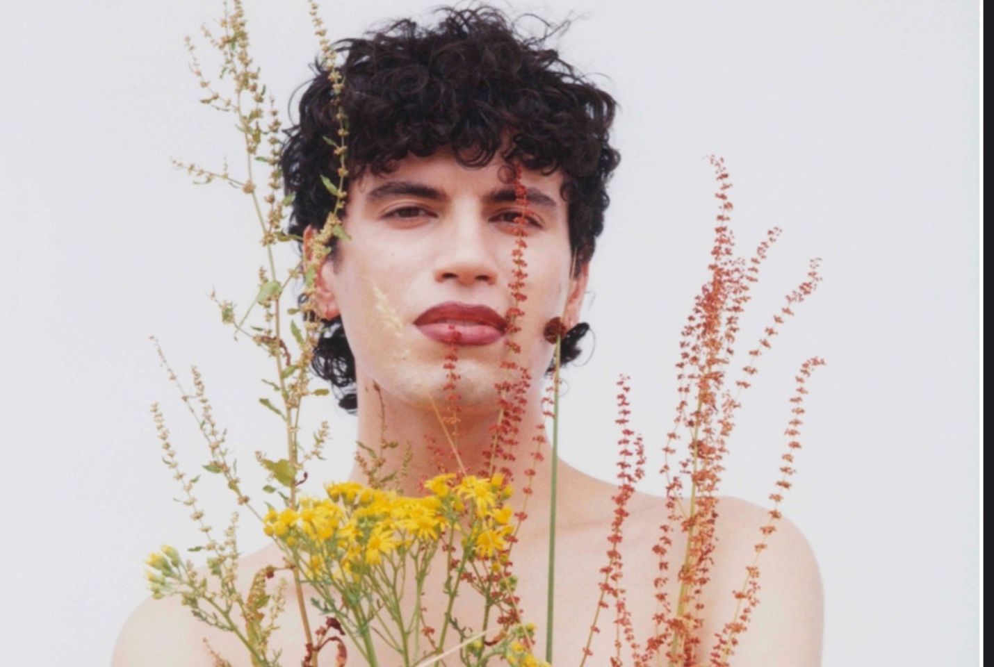 What's On - King Tuts Wah Wah Hut